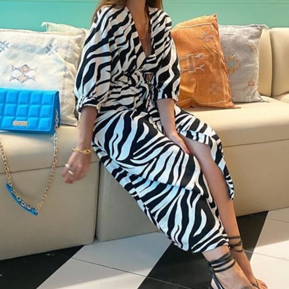 Zara | Dresses | Gorgeous Zara Nwt Animal Zebra Print Dress | Poshmark